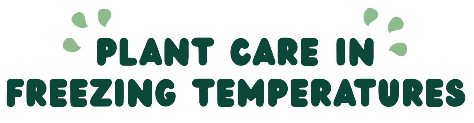 Plant Care in Freezing Temperatures - | Busy Bee Garden Center